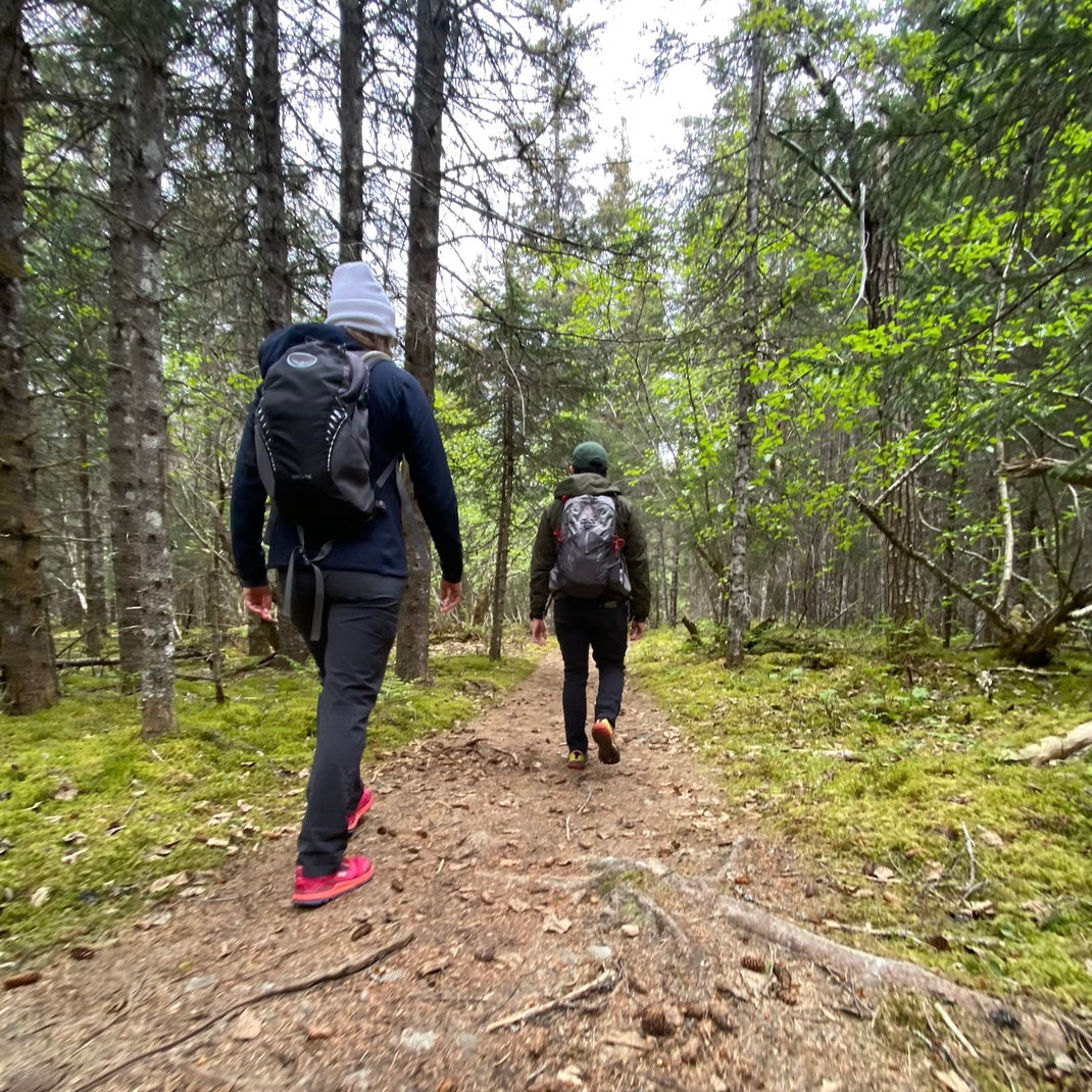 Stories & Interviews – Wyld Whisper